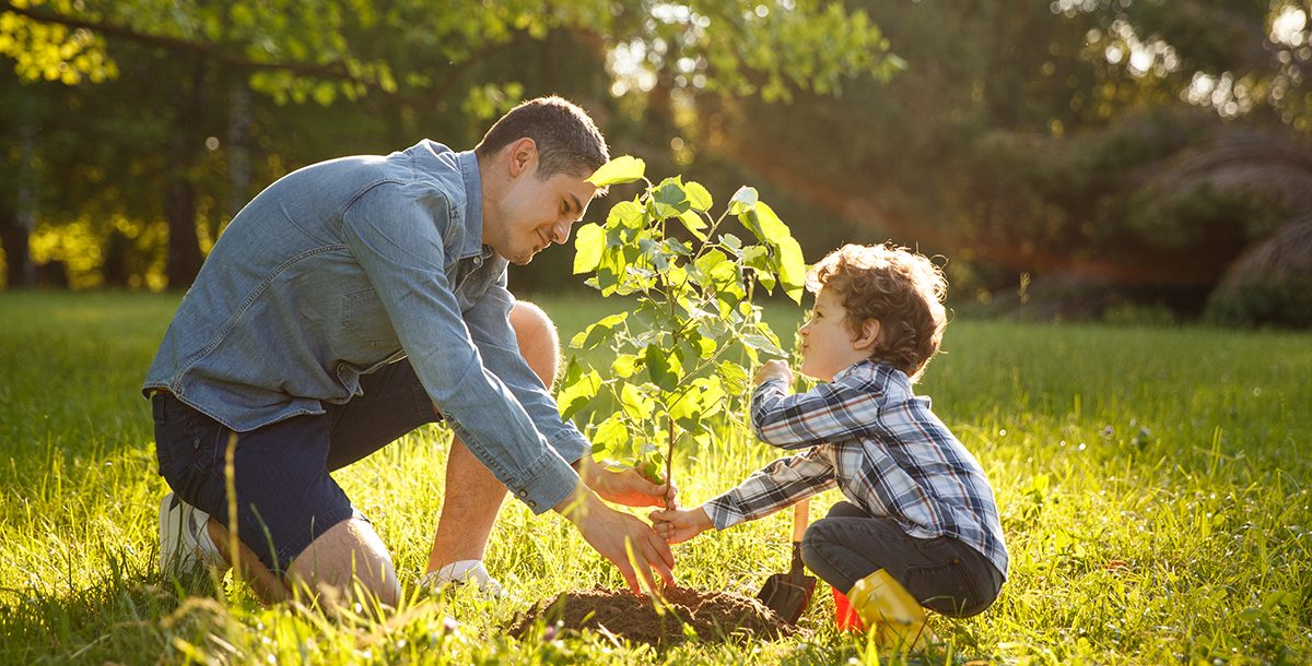 Happy Earth Day! Celebrate and Give Back | Mercy Health Blog